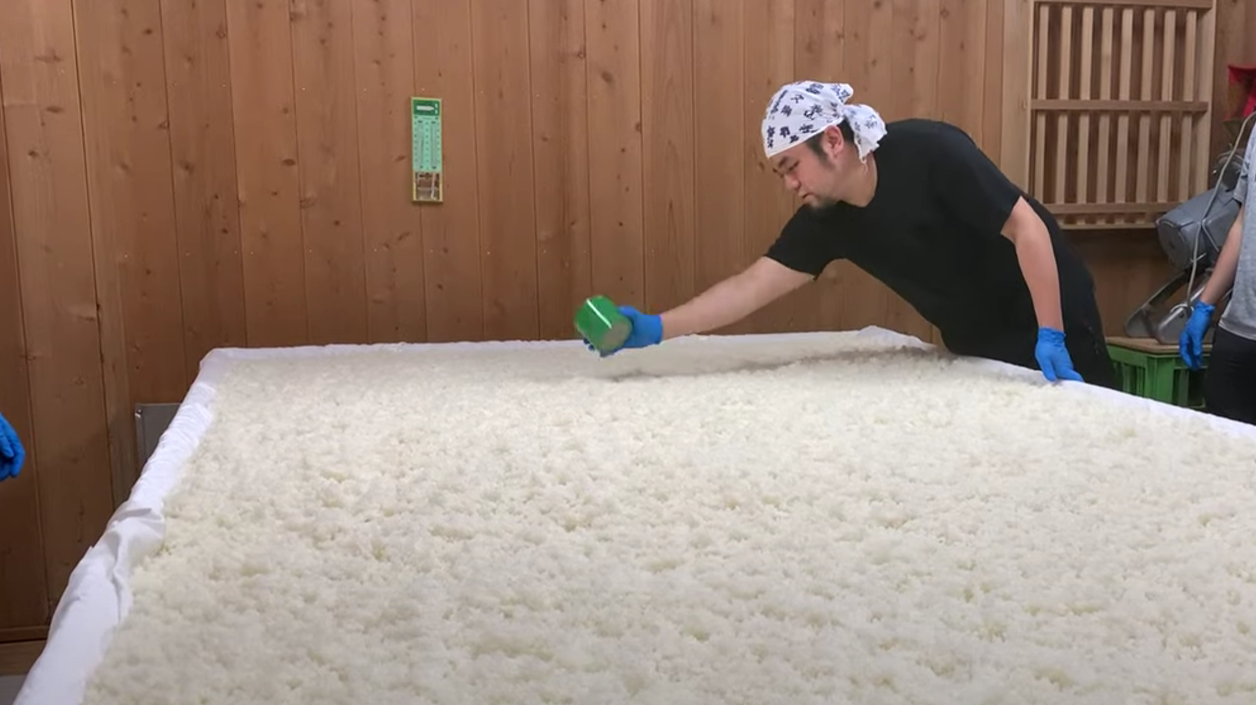 Experiencing Sake Brewing at Koedo Kagamiyama Brewery: Part 2 ...